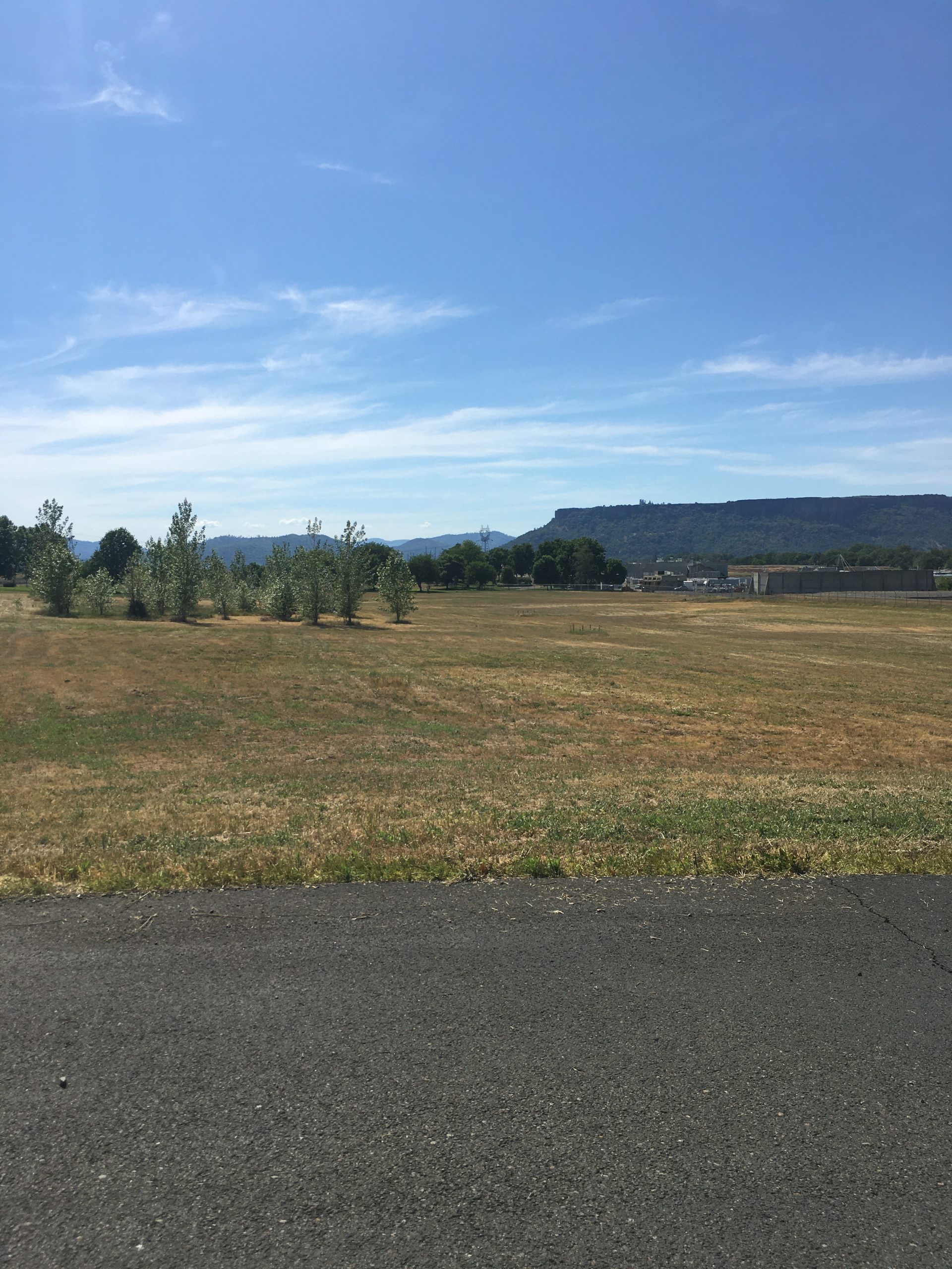 Got Shade? Get Solar! (Community Solar, that is) | Oregon Clean Power Co-op