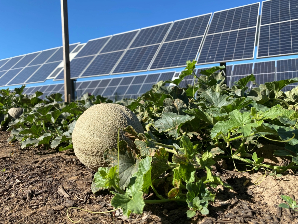 Solar Harvest | Oregon Clean Power Co-op